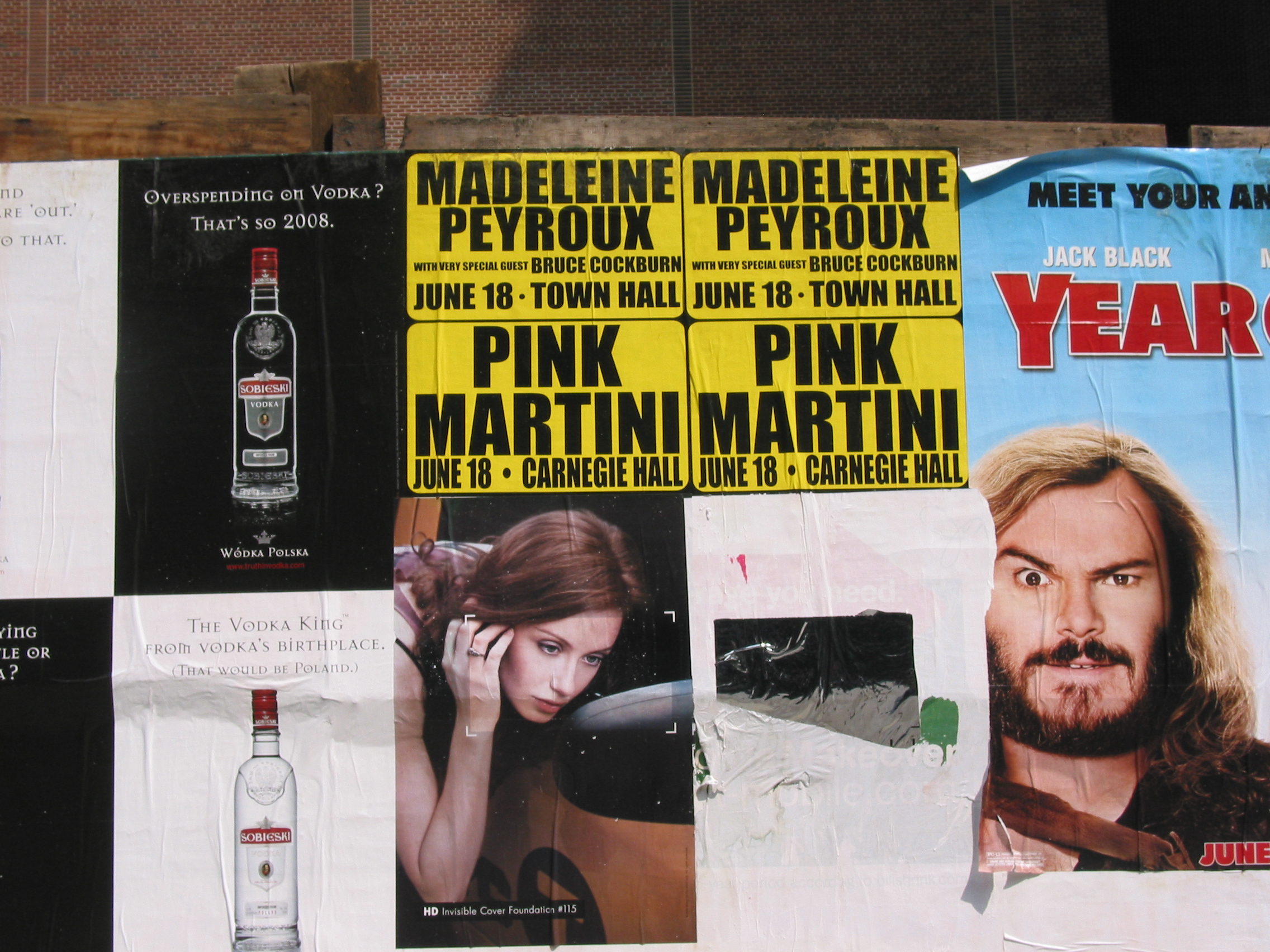 Cat Shelter Sign – The Good Page